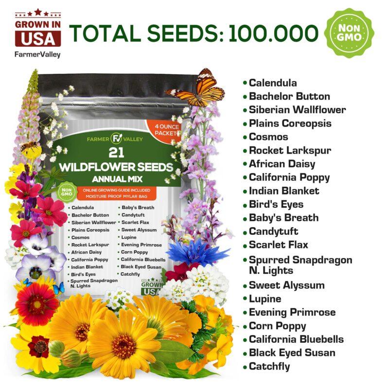 Annual Wildflower Seeds 3oz (21 Varieties) - FarmerValley