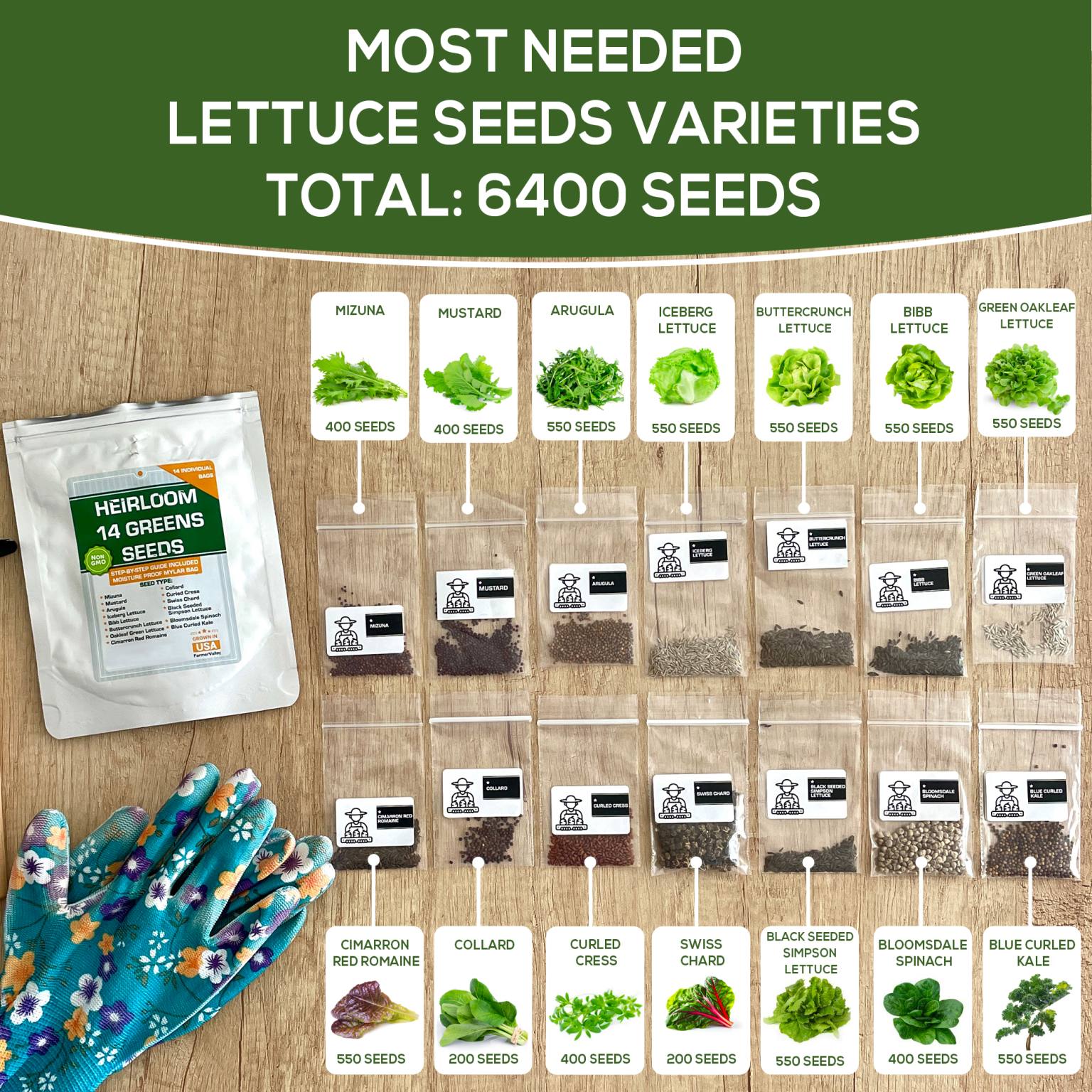 Heirloom Lettuce and Greens Seeds (14 Varieties) - FarmerValley