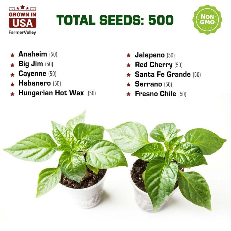 Home Organic - FarmerValley