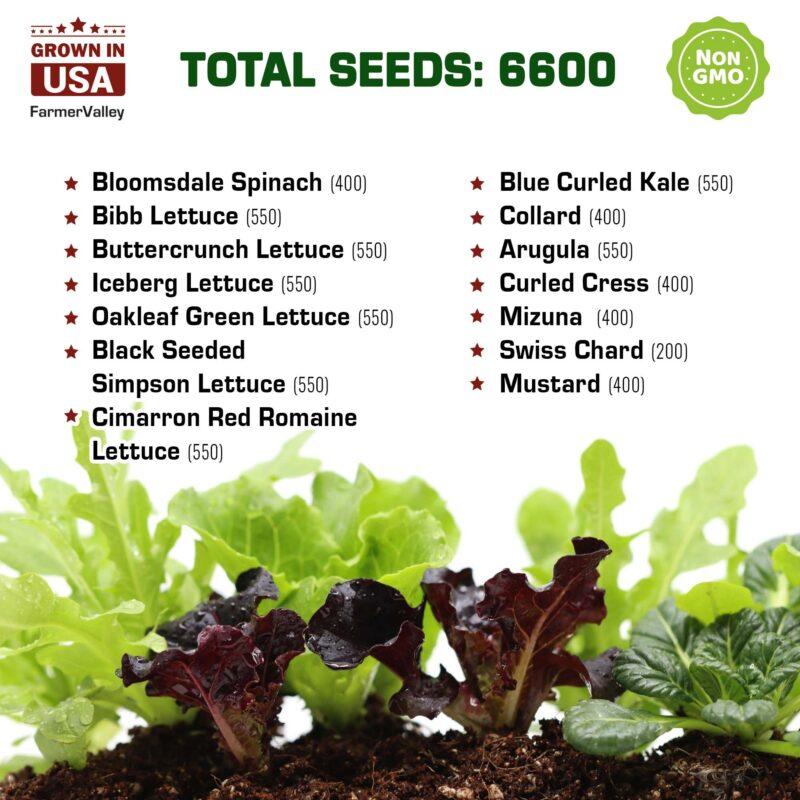 Heirloom Lettuce and Greens Seeds (14 Varieties) - FarmerValley