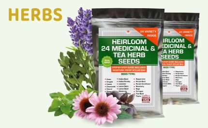 Home Organic - FarmerValley