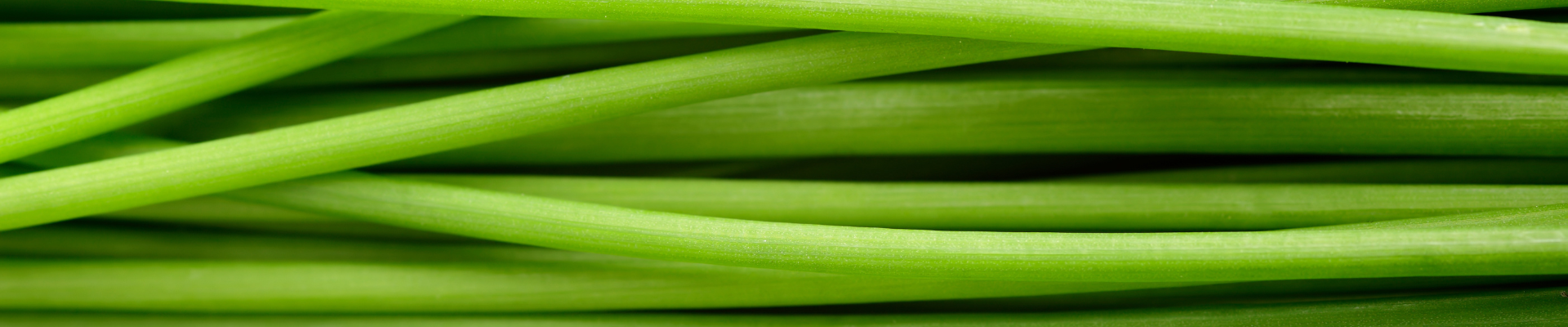 Chives - FarmerValley