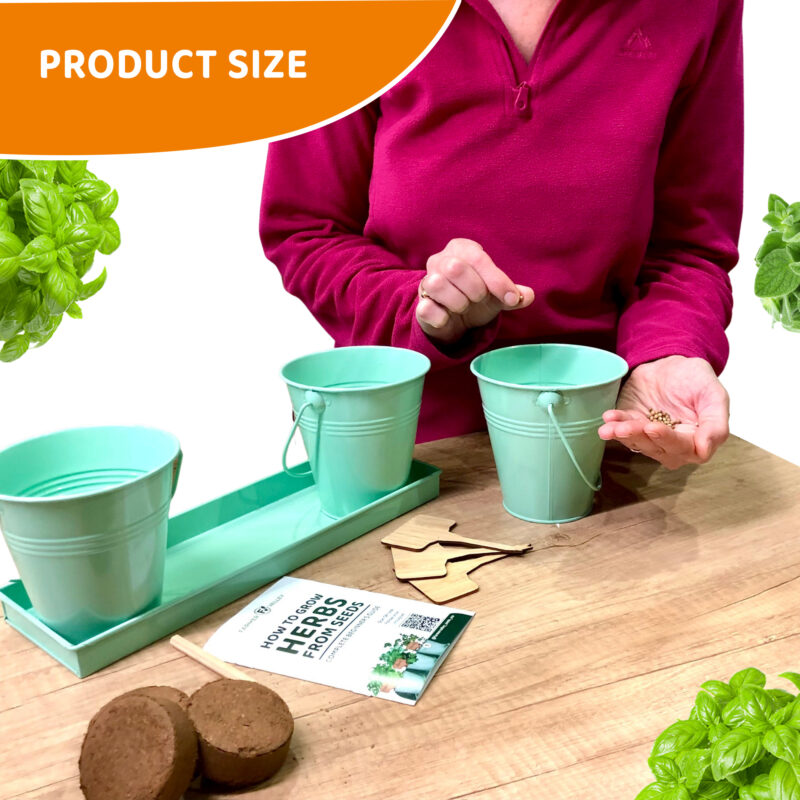 Medicinal Herbs Starter Kit With Seeds (6 Varieties) - FarmerValley