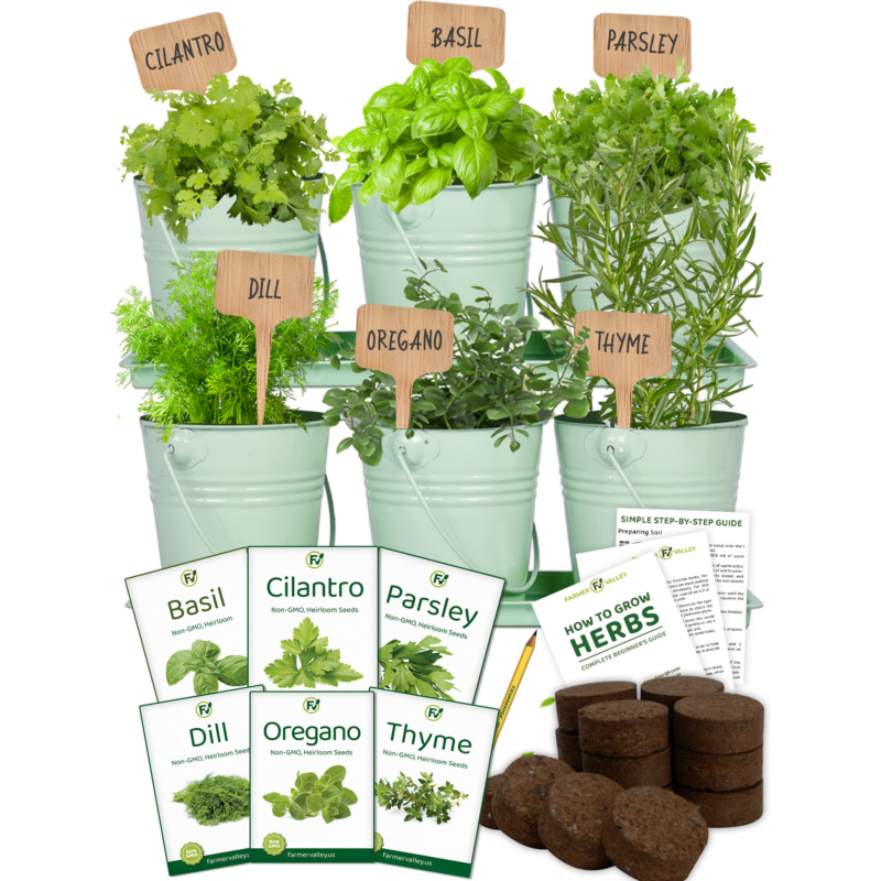 Medicinal Herbs Starter Kit With Seeds (6 Varieties) - FarmerValley