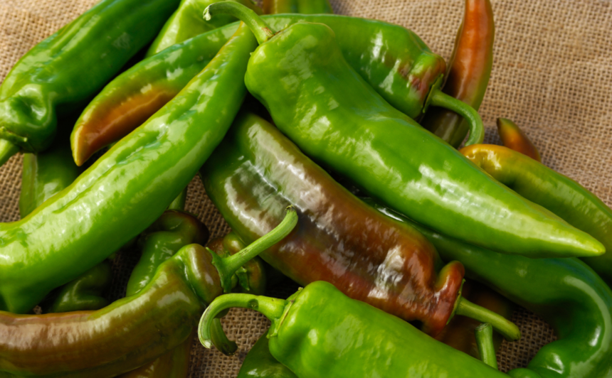 Anaheim Pepper - FarmerValley