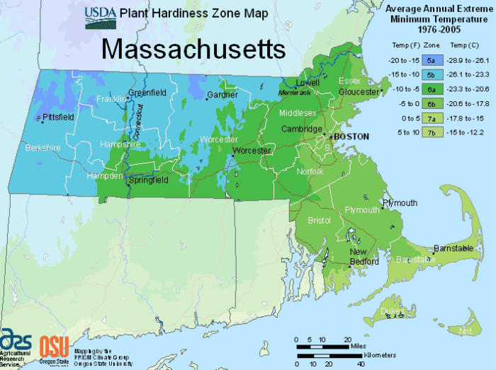 USDA Hardiness Zones Explained: What’s My Zone? - FarmerValley